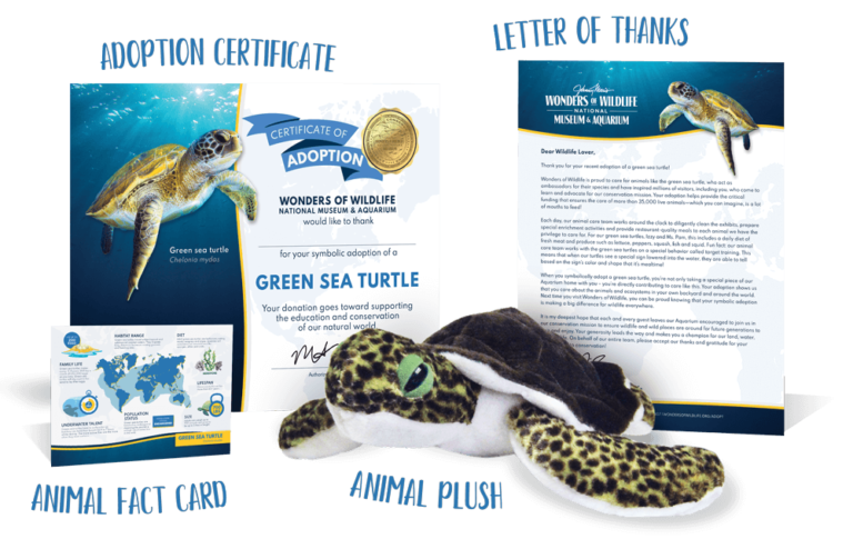 Adopt an Animal | Wonders of Wildlife | National Museum & Aquarium