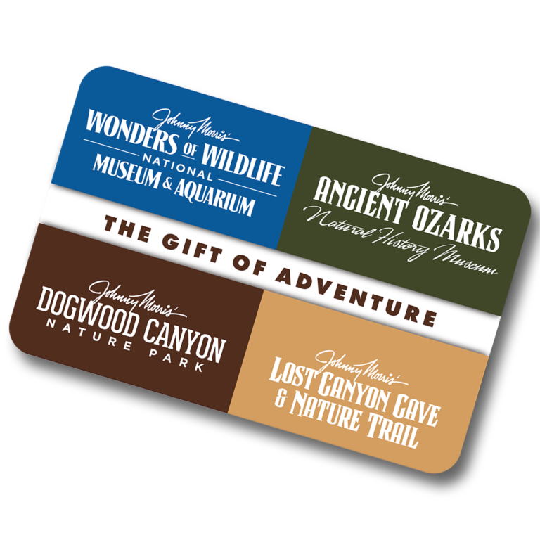 Gift Cards for Tickets, Memberships or Online Store | Wonders of Wildlife