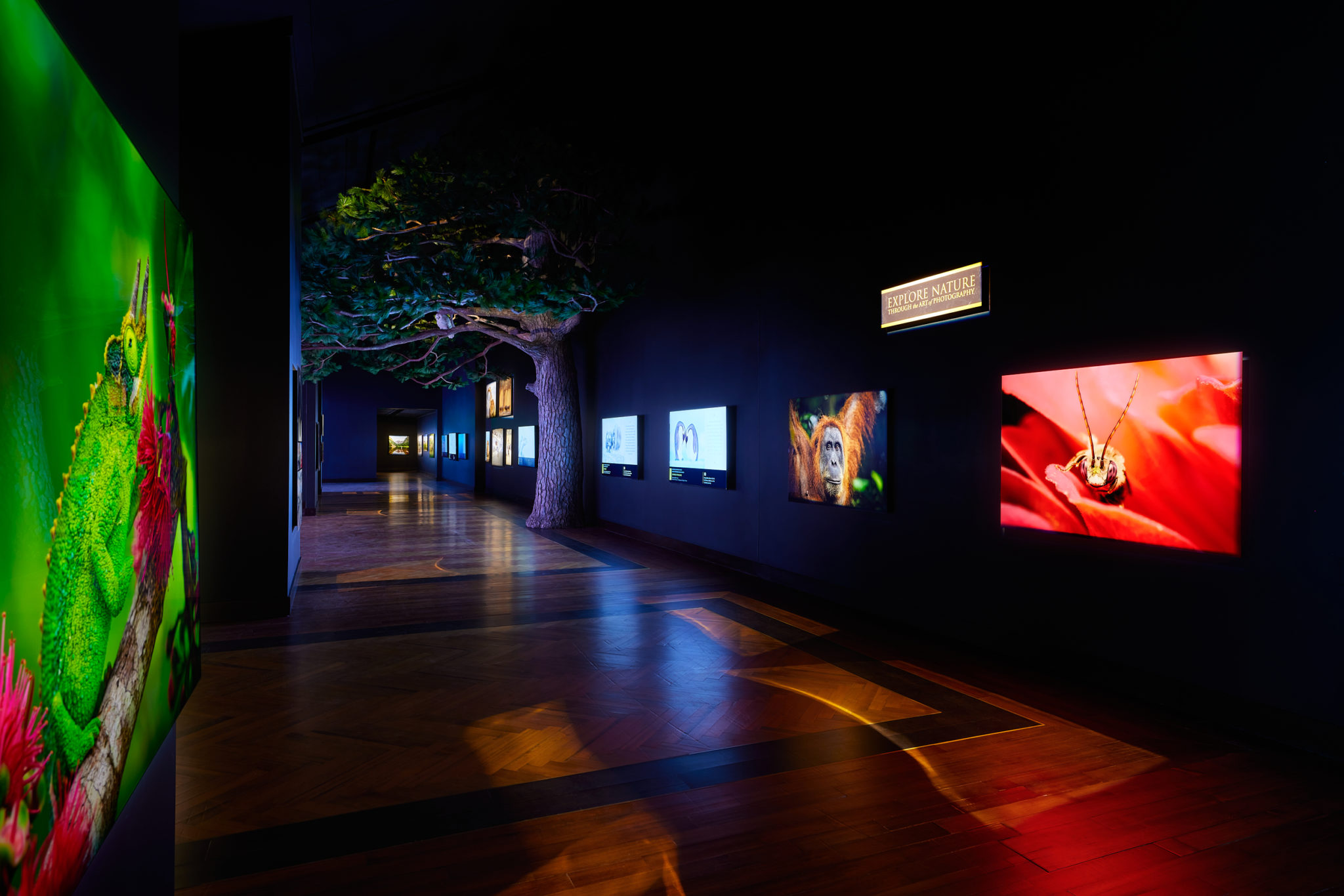 Exhibiting Partners | Wonders of Wildlife | National Museum & Aquarium