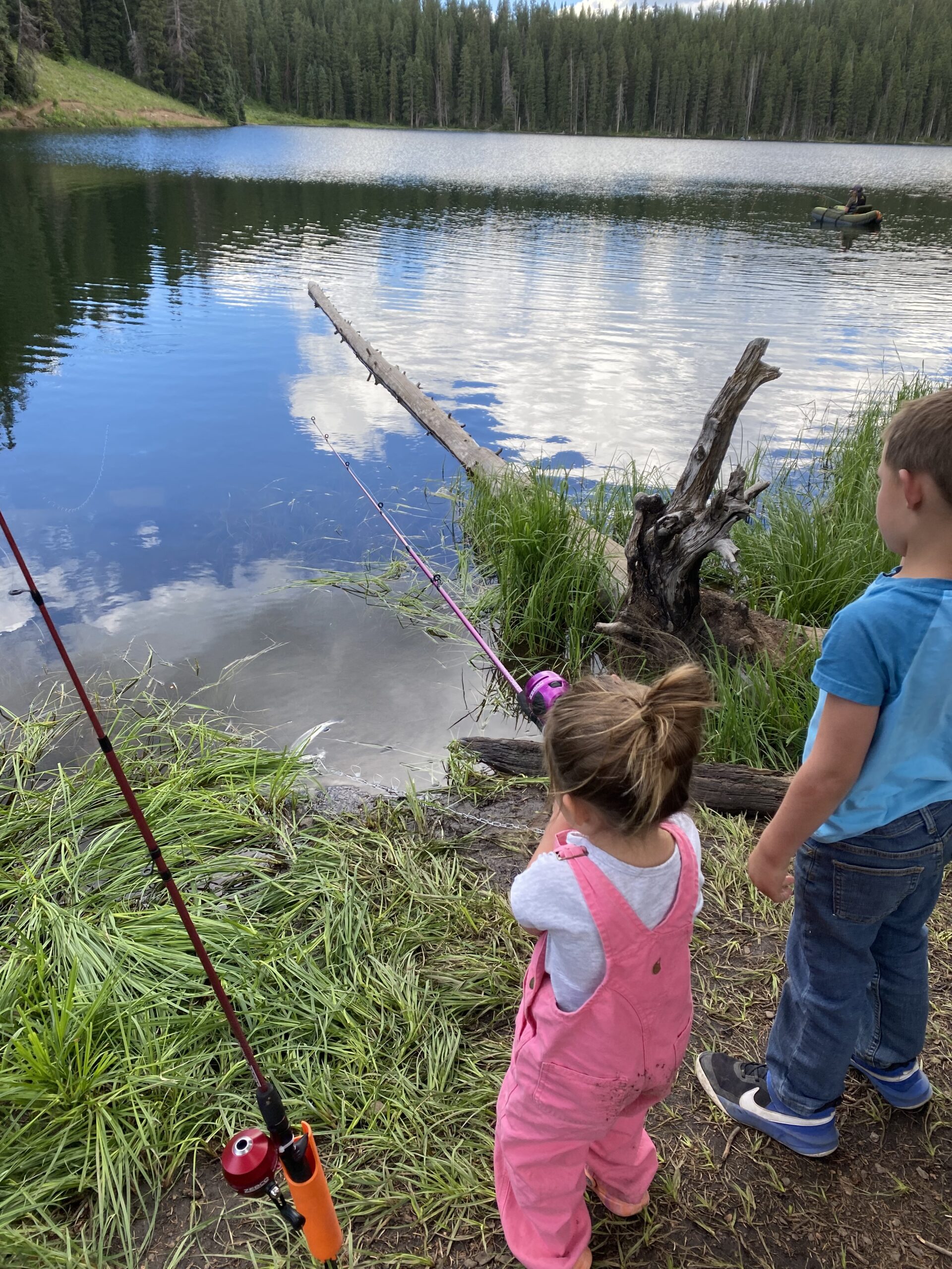 The Largemouth Bass - America's Most Beloved Fish | Wonders of Wildlife