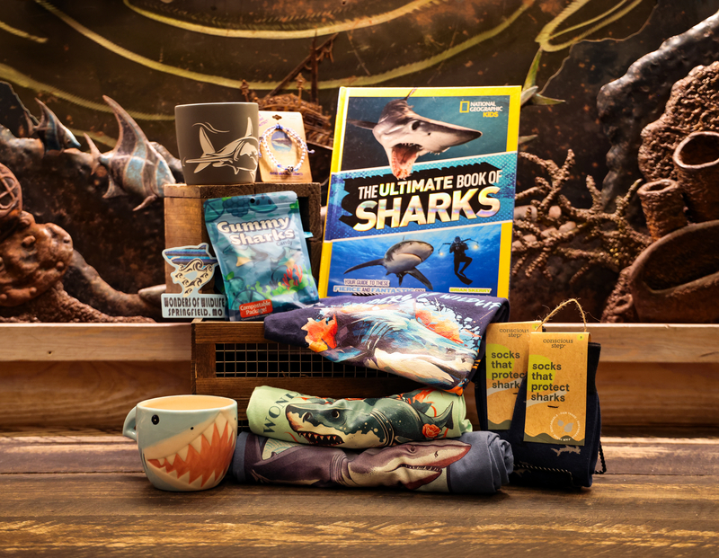 Seven “JAWS”ome Souvenirs to Celebrate Shark Week! | Wonders of Wildlife