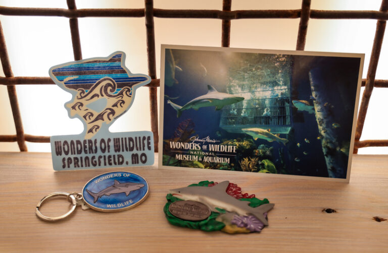 Seven “JAWS”ome Souvenirs to Celebrate Shark Week! | Wonders of Wildlife