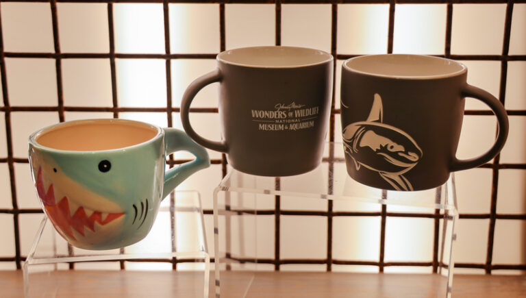 Seven “JAWS”ome Souvenirs to Celebrate Shark Week! | Wonders of Wildlife
