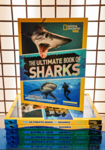 Seven “JAWS”ome Souvenirs to Celebrate Shark Week! | Wonders of Wildlife