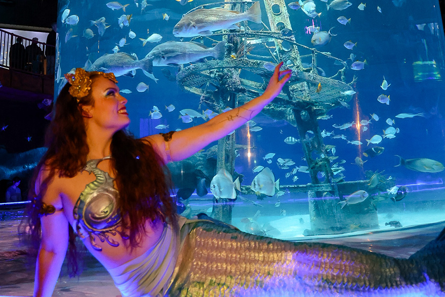 Mermaids | Wonders of Wildlife