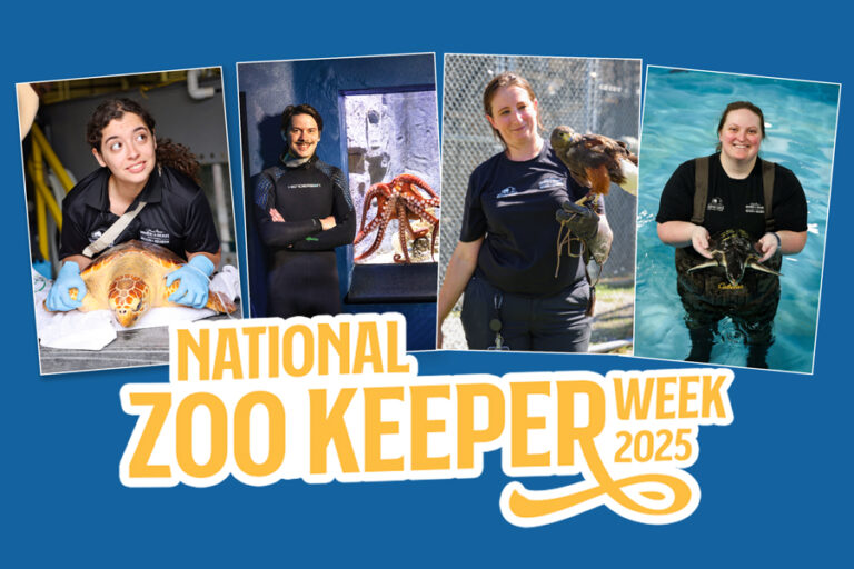 Zookeeper Archives | Wonders of Wildlife